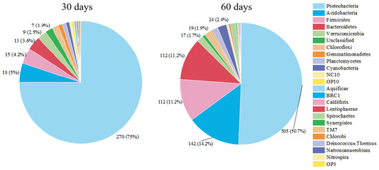 Analysis of Microbial Communities in Membrane Biofilm Reactors Using a ...