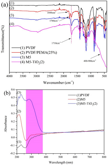 Membranes | Free Full-Text | Fabrication of Anatase TiO2/PVDF Composite ...
