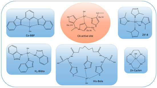 Biocatalytic Membranes for Carbon Capture and Utilization
