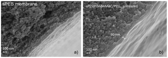 Progress towards Stable and High-Performance Polyelectrolyte Multilayer ...