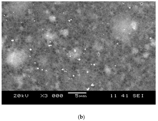 Synthesis and Characterisation of Self-Cleaning TiO2/PES Mixed Matrix ...