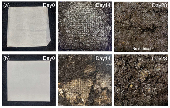 Efficient, Breathable, and Compostable Multilayer Air Filter Material ...