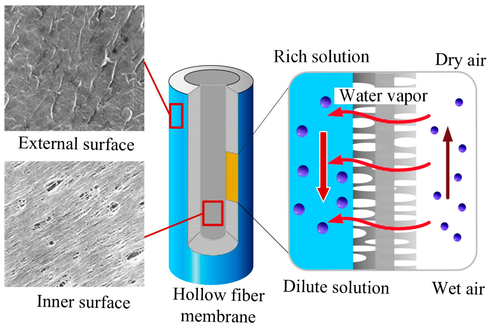Dilute Solution Diagram Dilute Solution Diagram