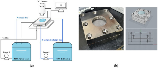 Application of Optical Coherence Tomography (OCT) to Analyze Membrane ...
