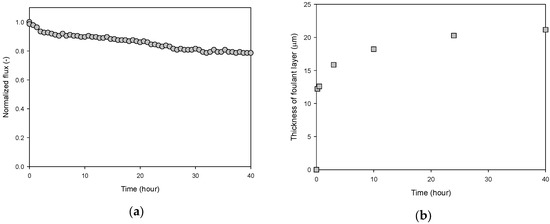 Application of Optical Coherence Tomography (OCT) to Analyze Membrane ...