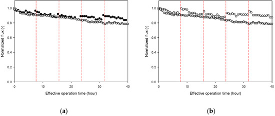 Application of Optical Coherence Tomography (OCT) to Analyze Membrane ...