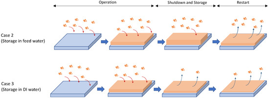 Application of Optical Coherence Tomography (OCT) to Analyze Membrane ...