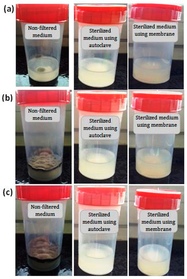 Fabrication of a Zircon Microfiltration Membrane for Culture Medium ...