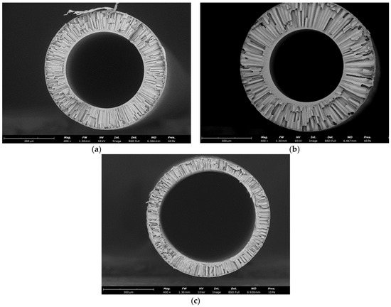 Effect of Molecular Weight and Chemical Structure of Terminal Groups on ...