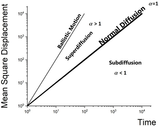 Lévy Flights Diffusion with Drift in Heterogeneous Membranes