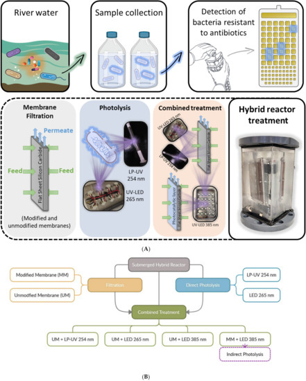 Occurrence and Treatment of Antibiotic-Resistant Bacteria Present in ...