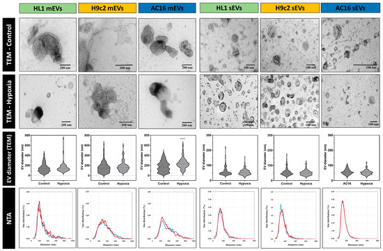 Endoplasmin Is a Hypoxia-Inducible Endoplasmic Reticulum-Derived Cargo ...