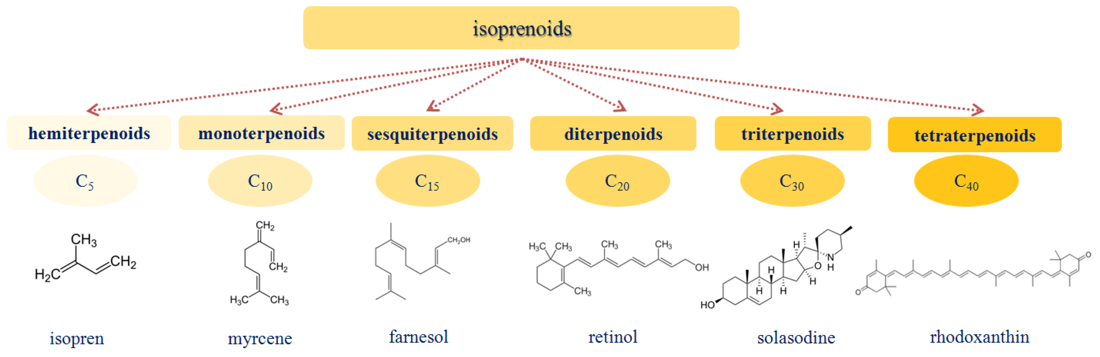 Modulation of the Dipole Potential of Model Lipid Membranes with ...