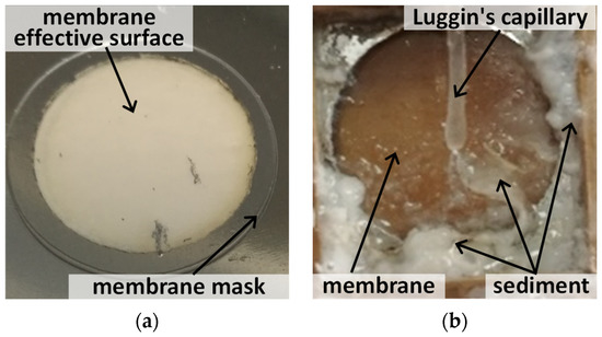 Membranes | Free Full-Text | Selective Separation of Singly Charged ...