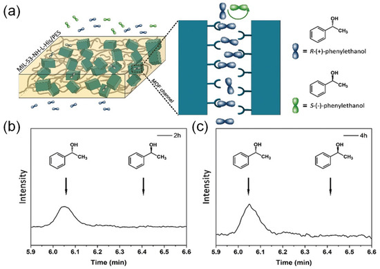 Membranes | Free Full-Text | Engineering Metal-Organic-Framework (MOF)-Based Membranes for Gas ...