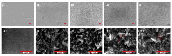 ZnO/PDA/Mesoporous Cellular Foam Functionalized Thin-Film Nanocomposite Membrane towards ...