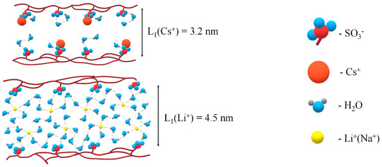 Hydration and Mobility of Alkaline Metal Cations in Sulfonic Cation ...