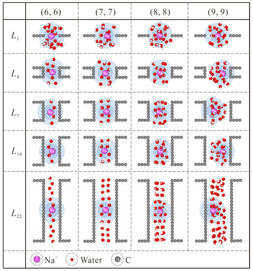 Competition between Hydration Shell and Ordered Water Chain Induces ...