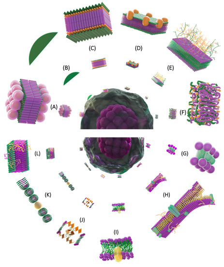 Evolution of the Concepts of Architecture and Supramolecular Dynamics ...