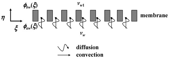 Device Performance of a Tubular Membrane Dialyzer Incorporating Ultrafiltration Effects on the ...