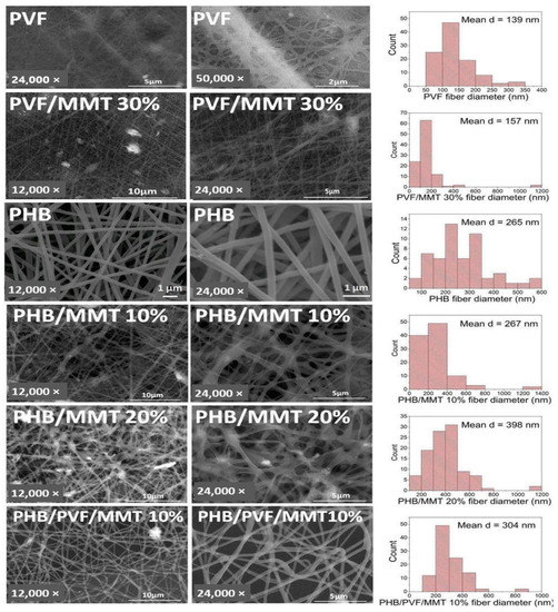 Novel Electrospun Composite Membranes Based on Polyhydroxybutyrate and ...