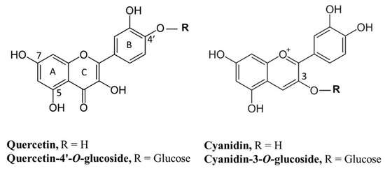 Interaction of Quercetin, Cyanidin, and Their O-Glucosides with Planar ...