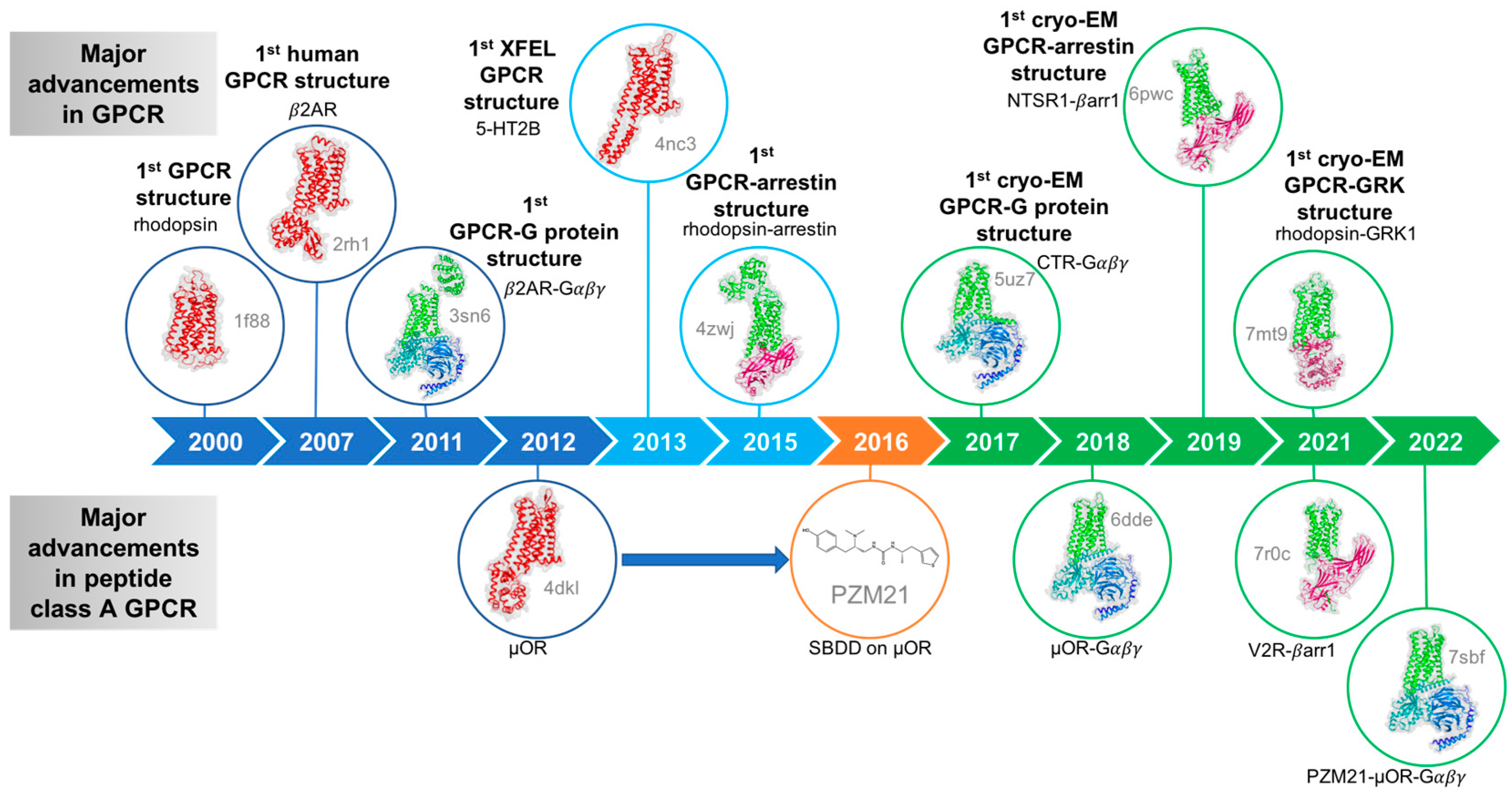 Bringing GPCR Structural Biology to Medical Applications: Insights from ...