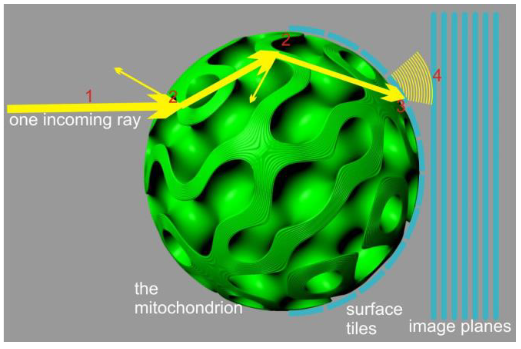 Membranes | Free Full-Text | Optical Properties and Interference ...