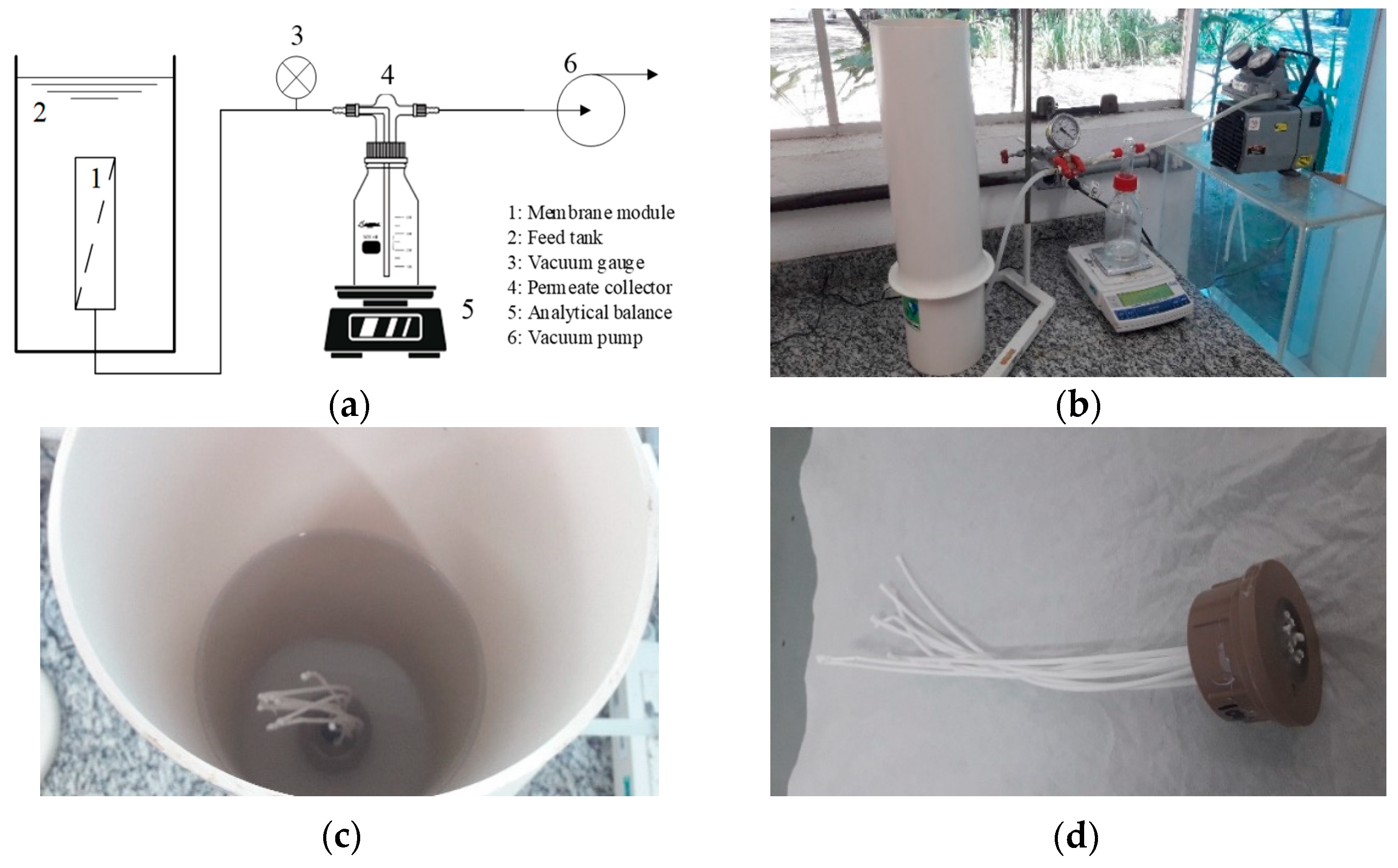A New Approach to the Development of Hollow Fiber Membrane Modules for Water Treatment: Mixed ...