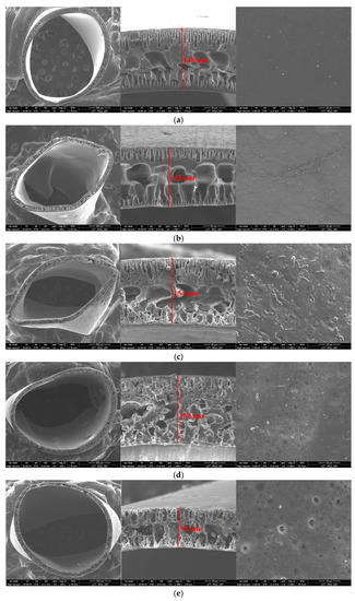 A New Approach to the Development of Hollow Fiber Membrane Modules for ...