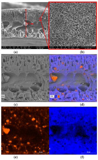 A New Approach to the Development of Hollow Fiber Membrane Modules for ...