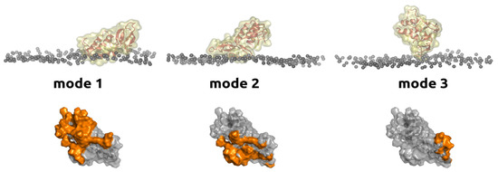 Alternative Targets for sPLA2 Activity: Role of Membrane-Enzyme ...