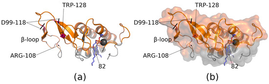 Alternative Targets for sPLA2 Activity: Role of Membrane-Enzyme ...