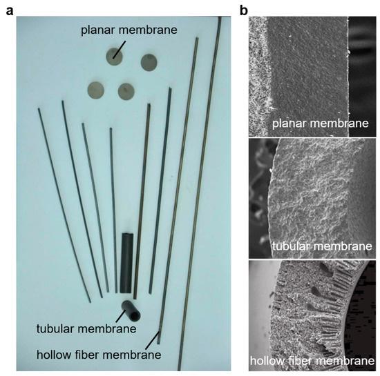 Ion–Conducting Ceramic Membrane Reactors for the Conversion of Chemicals
