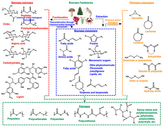 Bio-Based Polymeric Membranes: Development and Environmental Applications