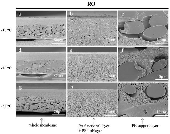 Preparation of Cross-Sectional Membrane Samples for Scanning Electron ...