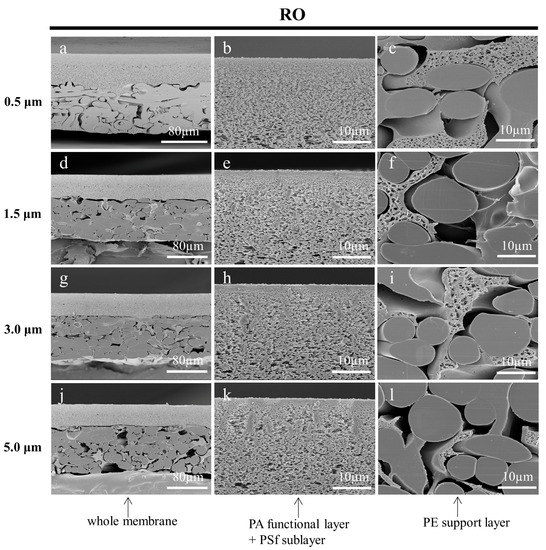Preparation of Cross-Sectional Membrane Samples for Scanning Electron ...