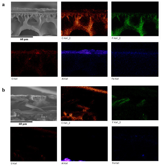Preparation of Cross-Sectional Membrane Samples for Scanning Electron ...