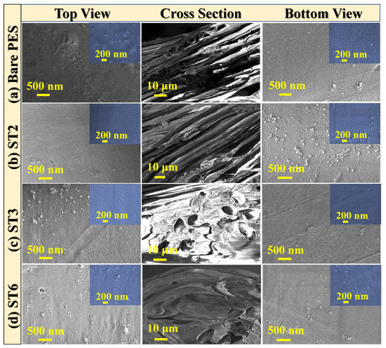 Membranes | Free Full-Text | Fabrication of PES Modified by TiO2 ...