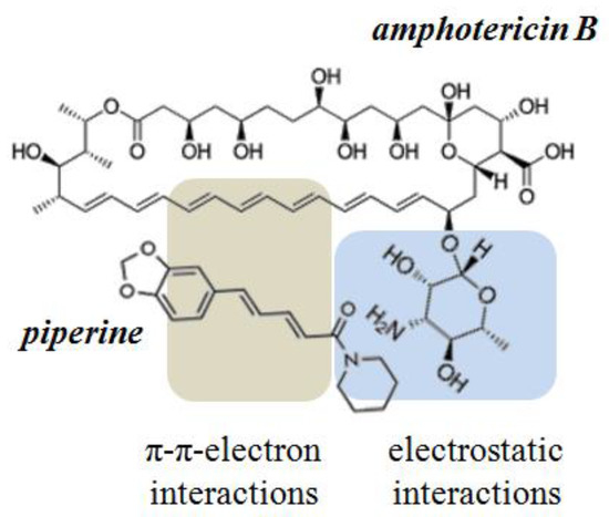 Triggering the Amphotericin B Pore-Forming Activity by Phytochemicals
