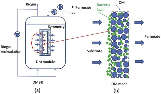 Production and Bioconversion Efficiency of Enzyme Membrane Bioreactors in the Synthesis of ...