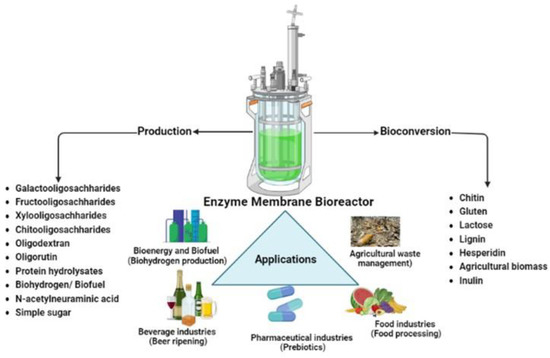 Production and Bioconversion Efficiency of Enzyme Membrane Bioreactors in the Synthesis of ...