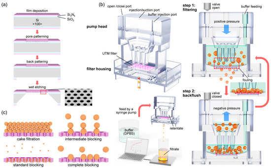 Precise Filtration of Chronic Myeloid Leukemia Cells by an Ultrathin ...