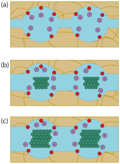 Approaches to the Modification of Perfluorosulfonic Acid Membranes