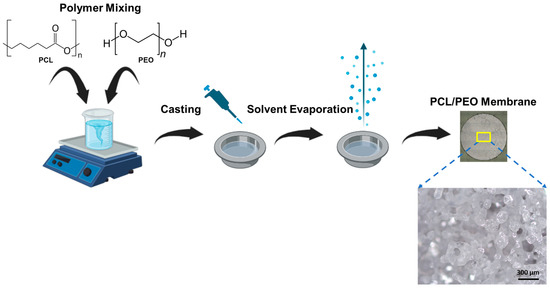 Membranes | Free Full-Text | PCL/PEO Polymer Membrane Prevents Biofouling in Wearable Detection ...