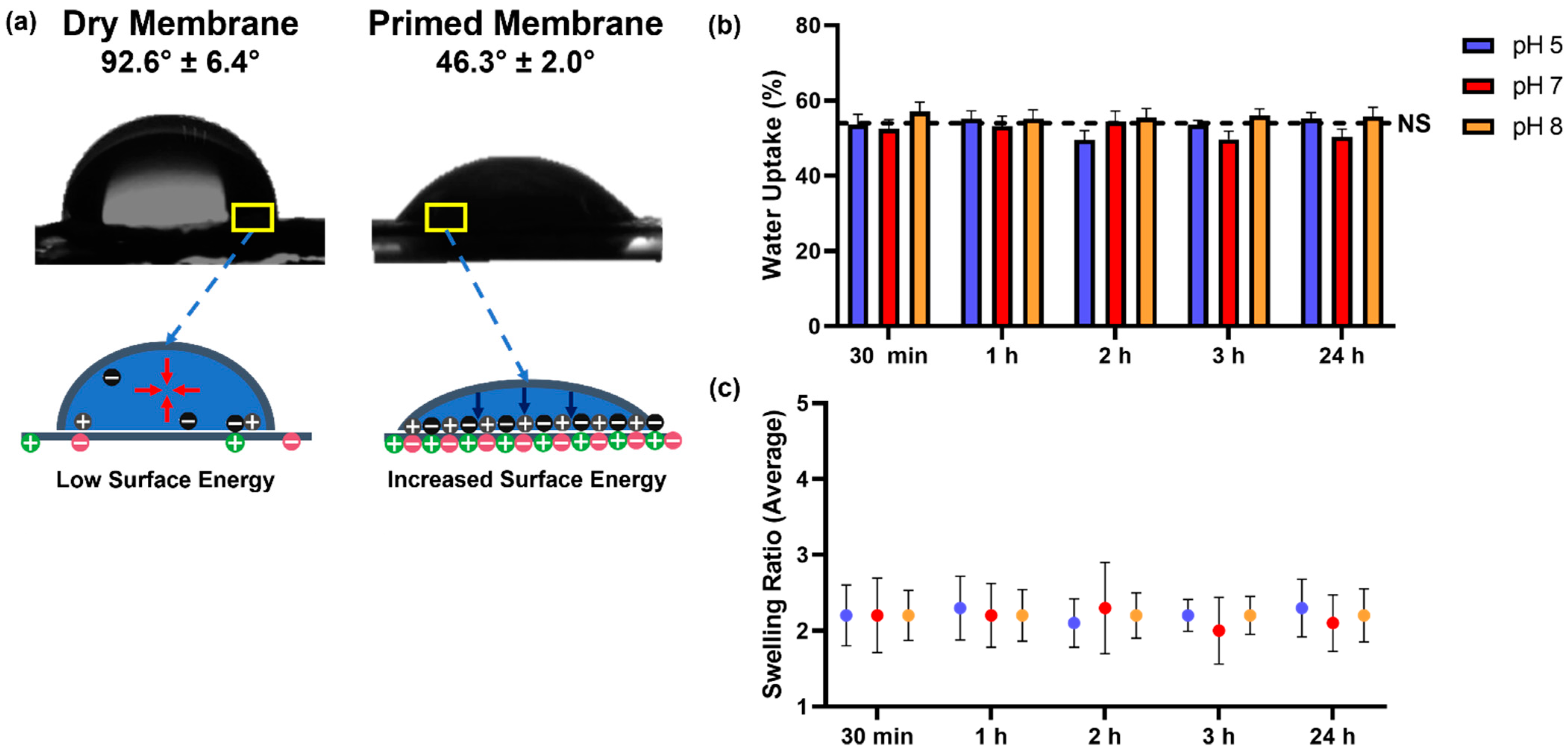 Membranes | Free Full-Text | PCL/PEO Polymer Membrane Prevents Biofouling in Wearable Detection ...