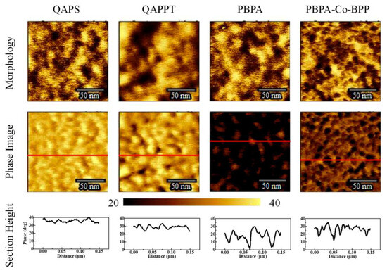 Bipolar Membranes for Direct Borohydride Fuel Cells—A Review