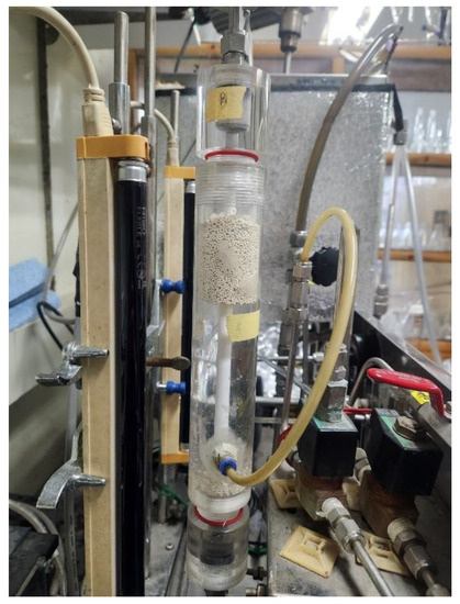 Membranes | Free Full-Text | Role of Titanium Dioxide-Immobilized PES ...