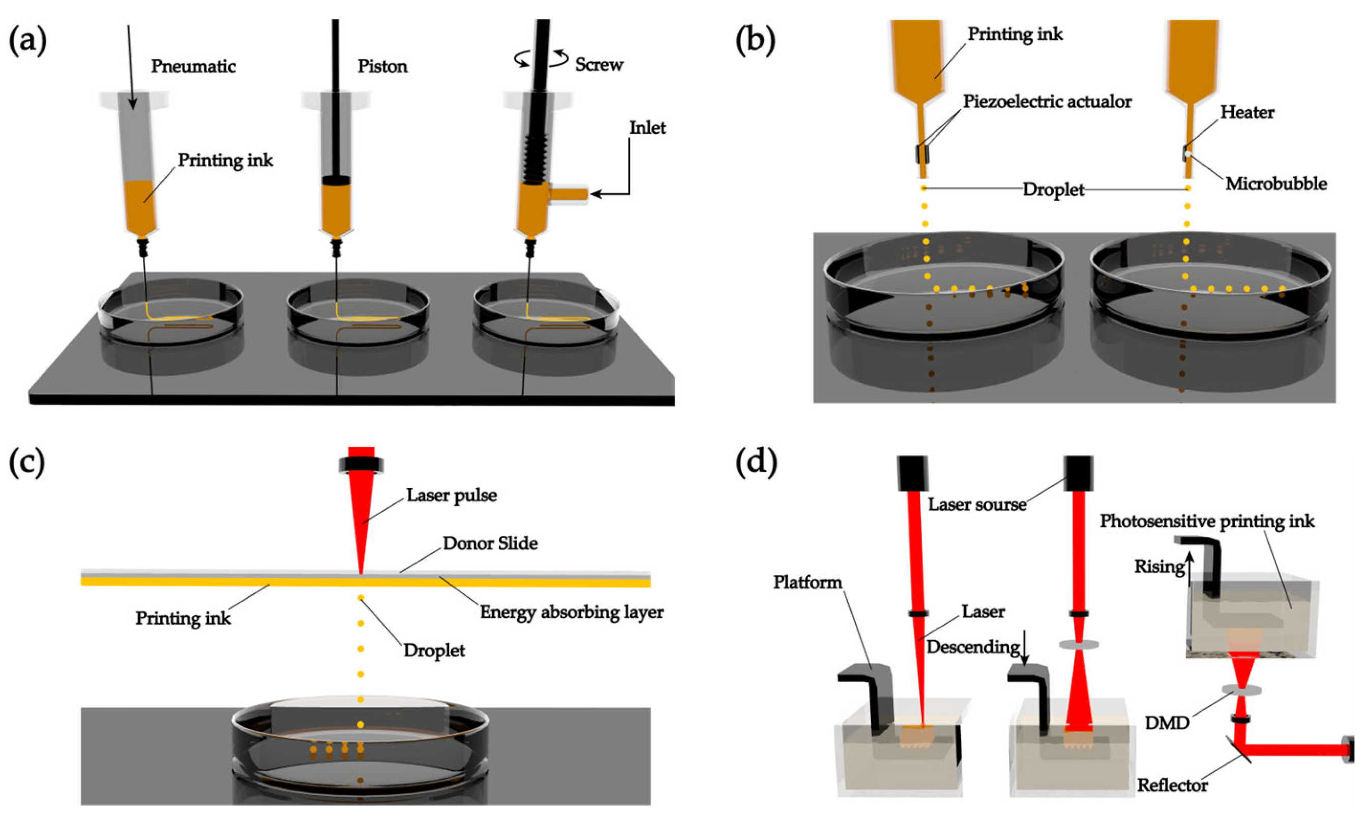 Membranes | Free Full-Text | Development and Prospective Applications ...