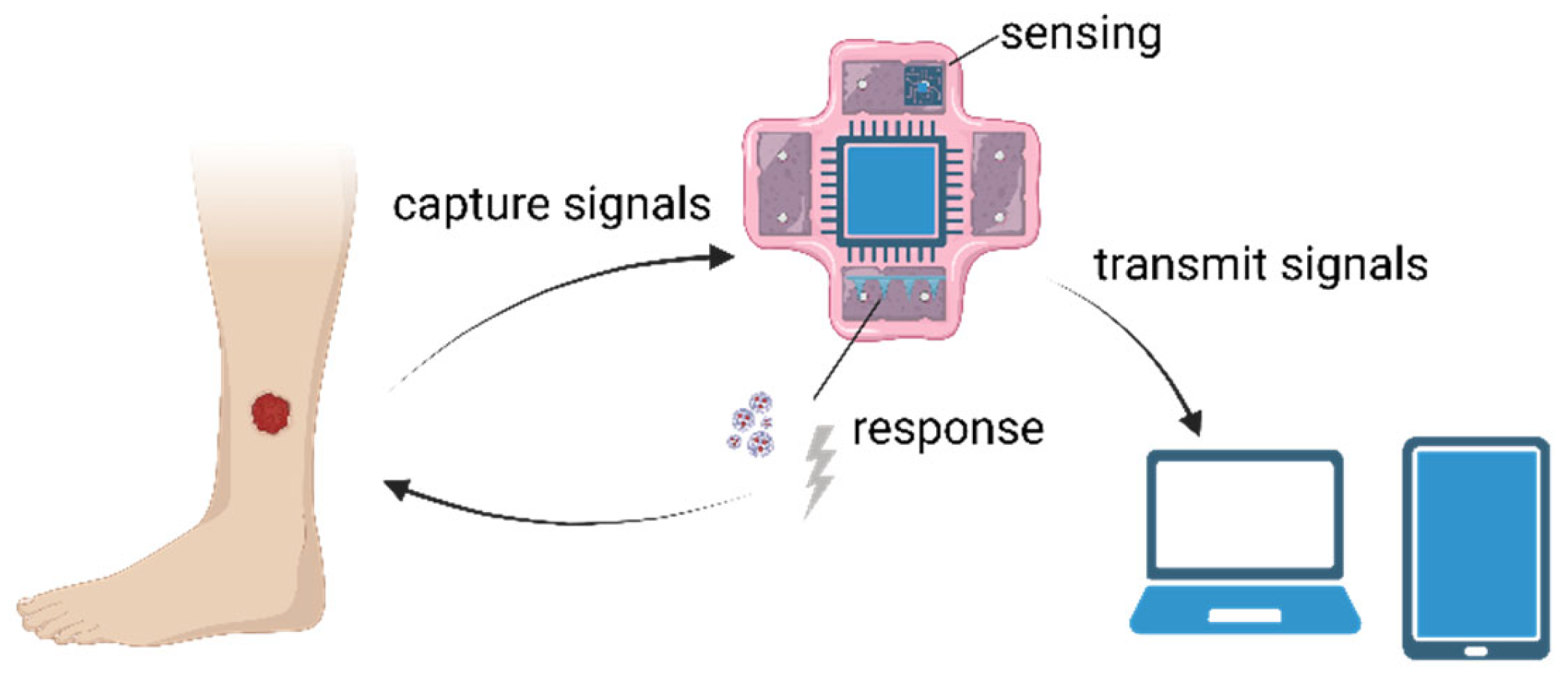 Membranes | Free Full-Text | Development and Prospective Applications ...